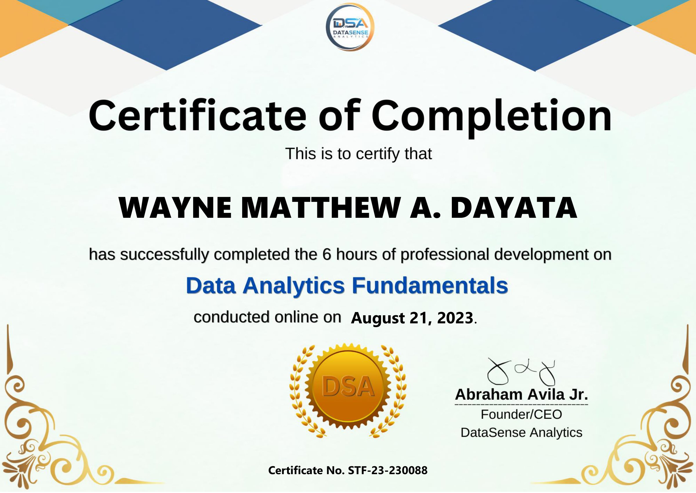 Wayne Dayata | Portfolio